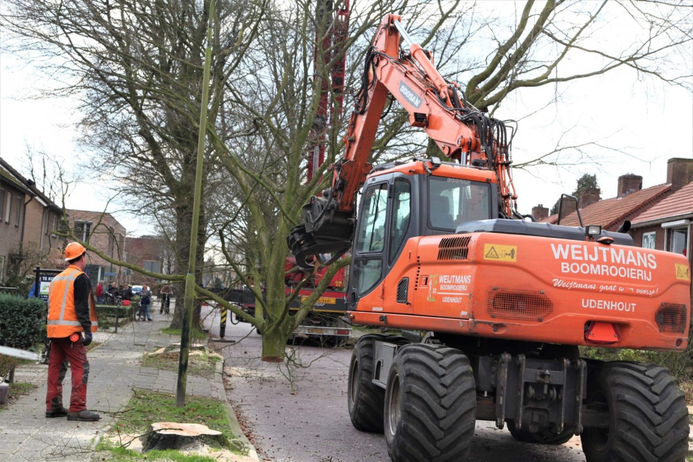 Bomen rooien Weert - Boomrooierij Weijtmans
