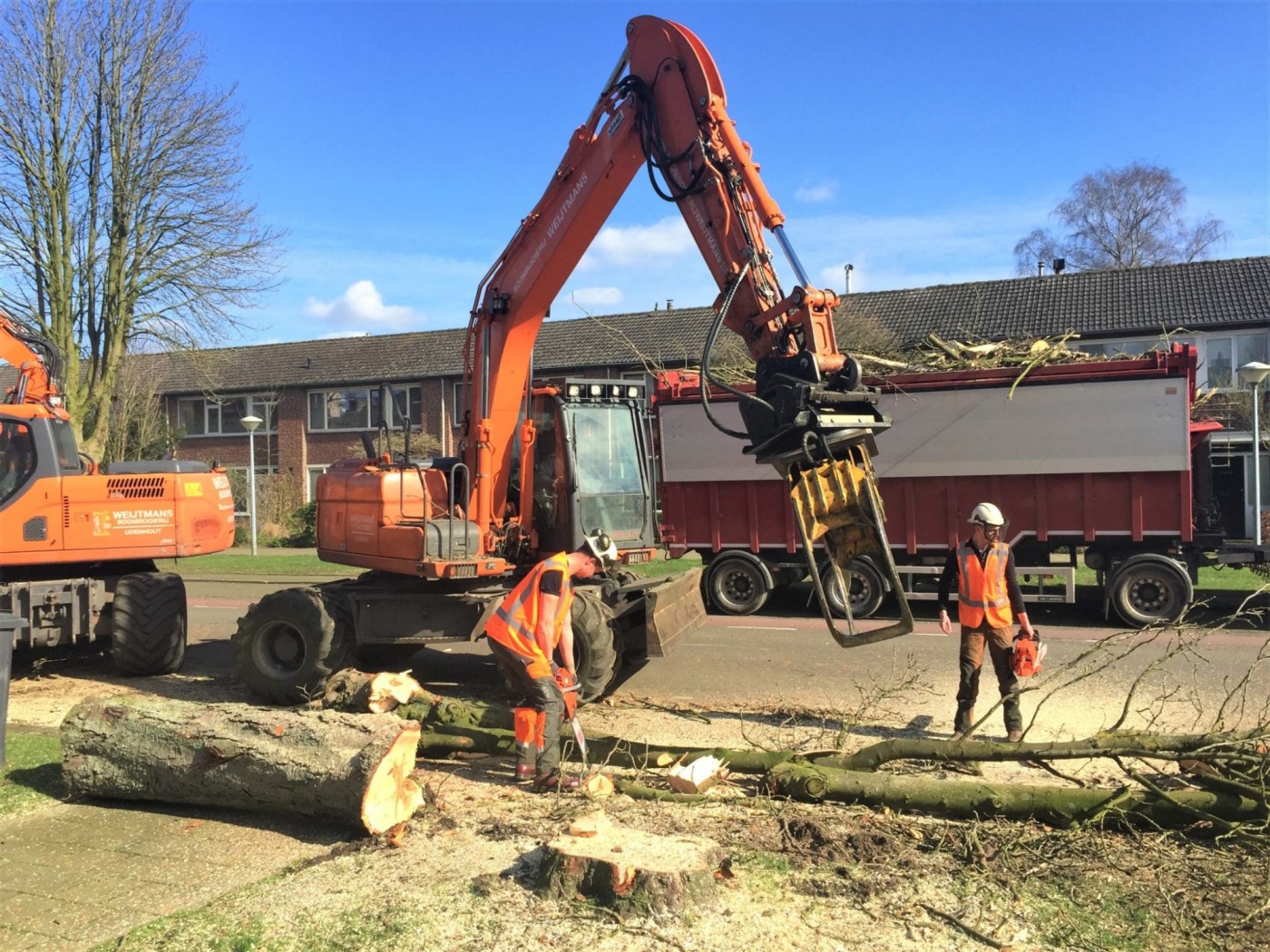 Bomen rooien - Boomrooierij Weijtmans