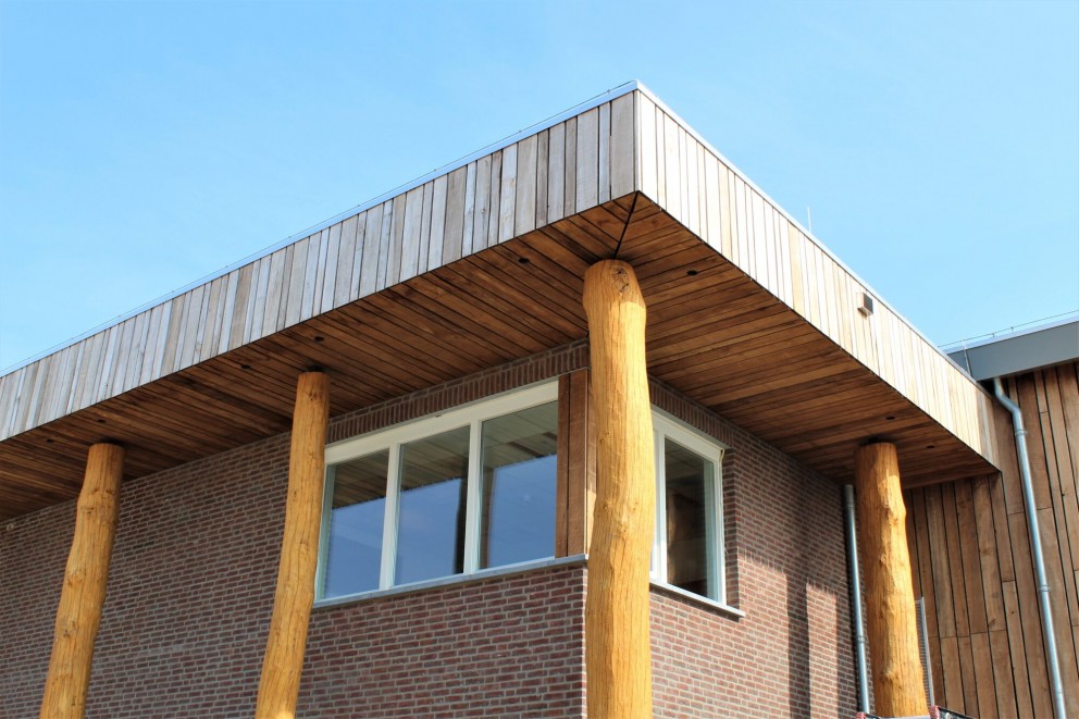 Populier = hout = goud - Boomrooierij Weijtmans