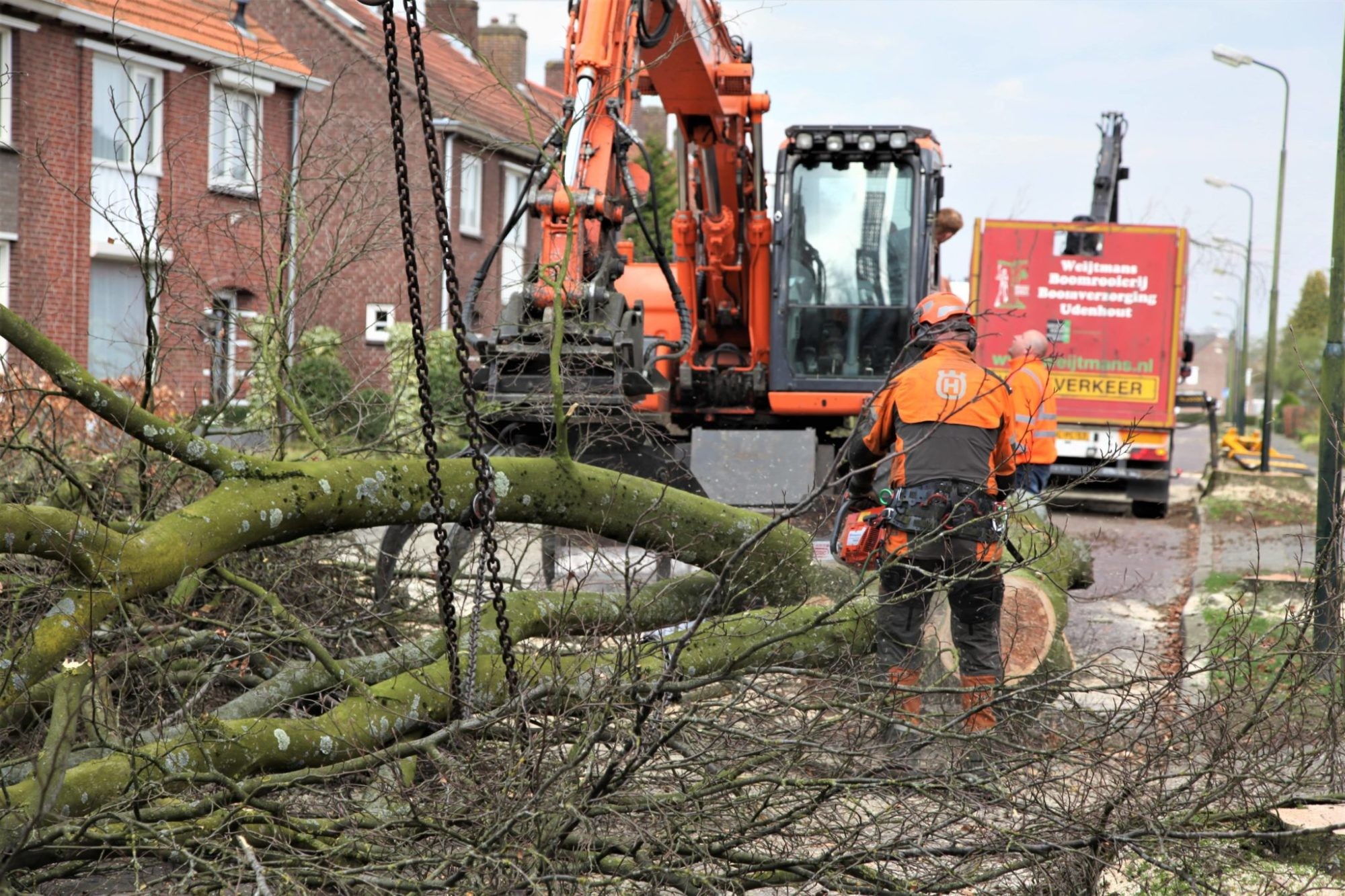 Boom rooien Breda - Boomrooierij Weijtmans