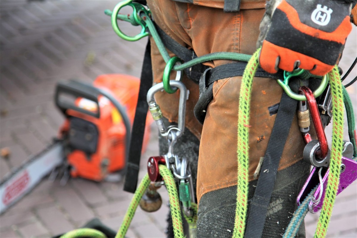 Branche organisaties - Boomrooierij Weijtmans